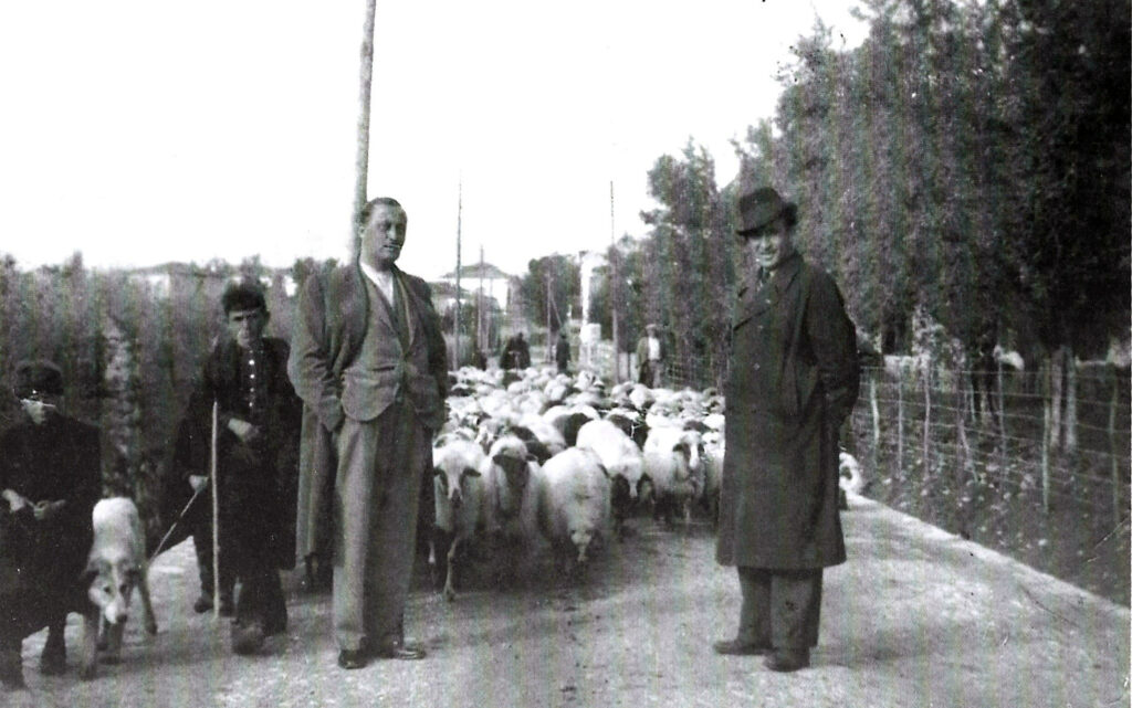 Στον Κάμπο της Άρτας - Δόξες Αγήραντες του ΔεσποτάτουΔόξες Αγήραντες ...