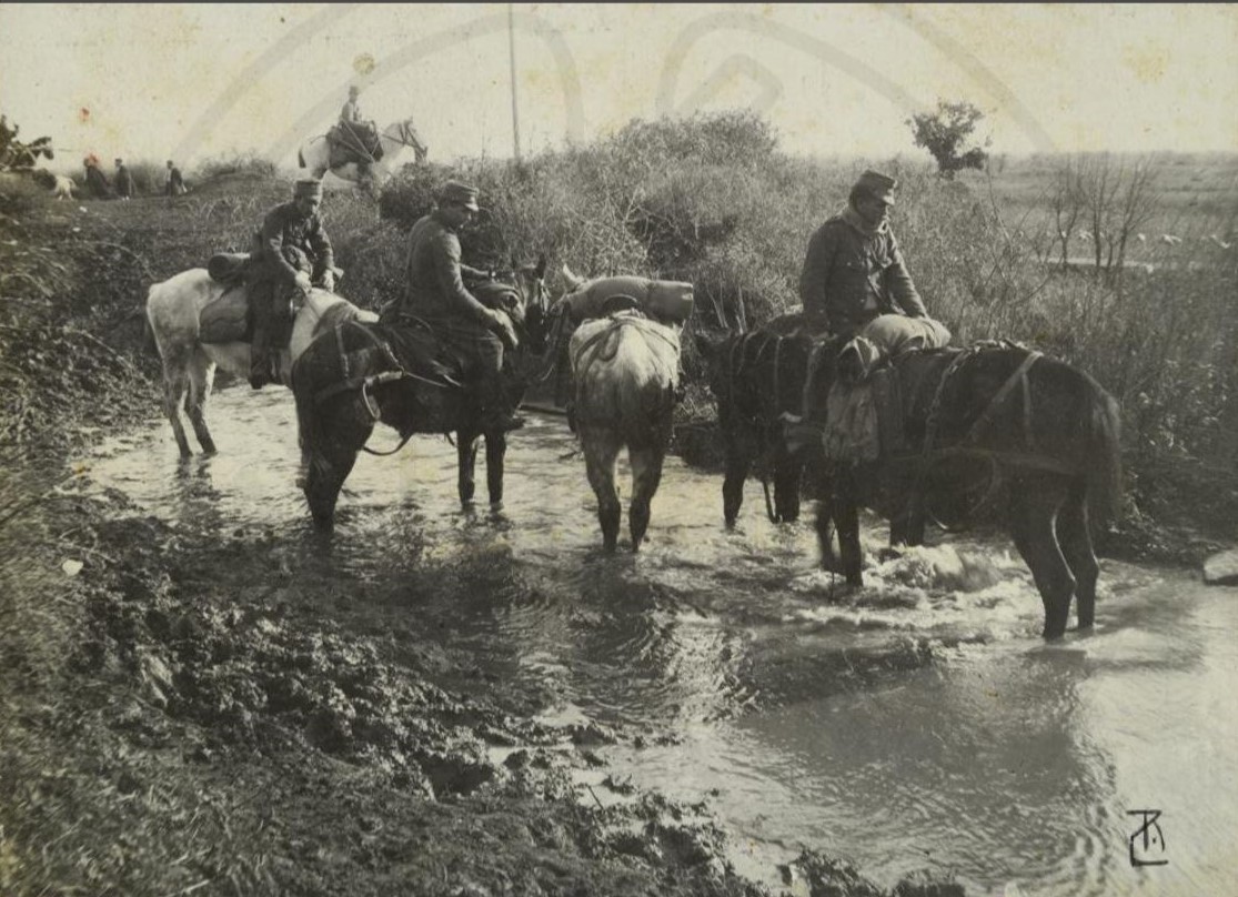 1912 -1913 , Πότισμα αλόγων - Δόξες Αγήραντες του ΔεσποτάτουΔόξες ...