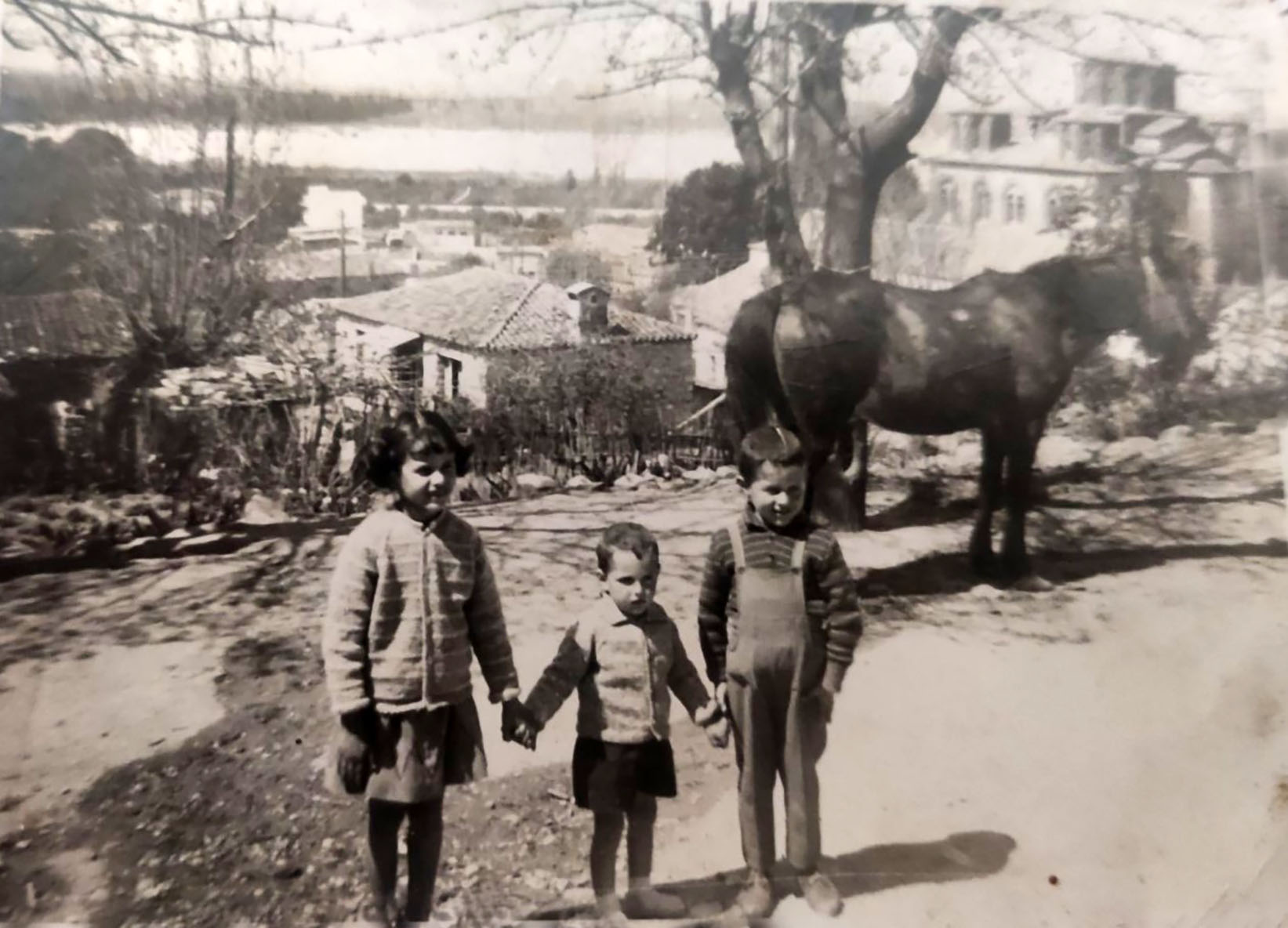 Στα Μελισσουργιώτικα στην Άρτα - Δόξες Αγήραντες του ΔεσποτάτουΔόξες ...